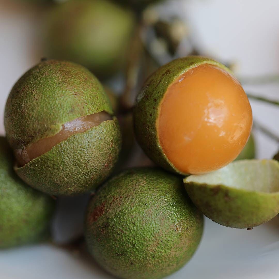 El mamón: una joya tropical con notables beneficios para la salud y ...